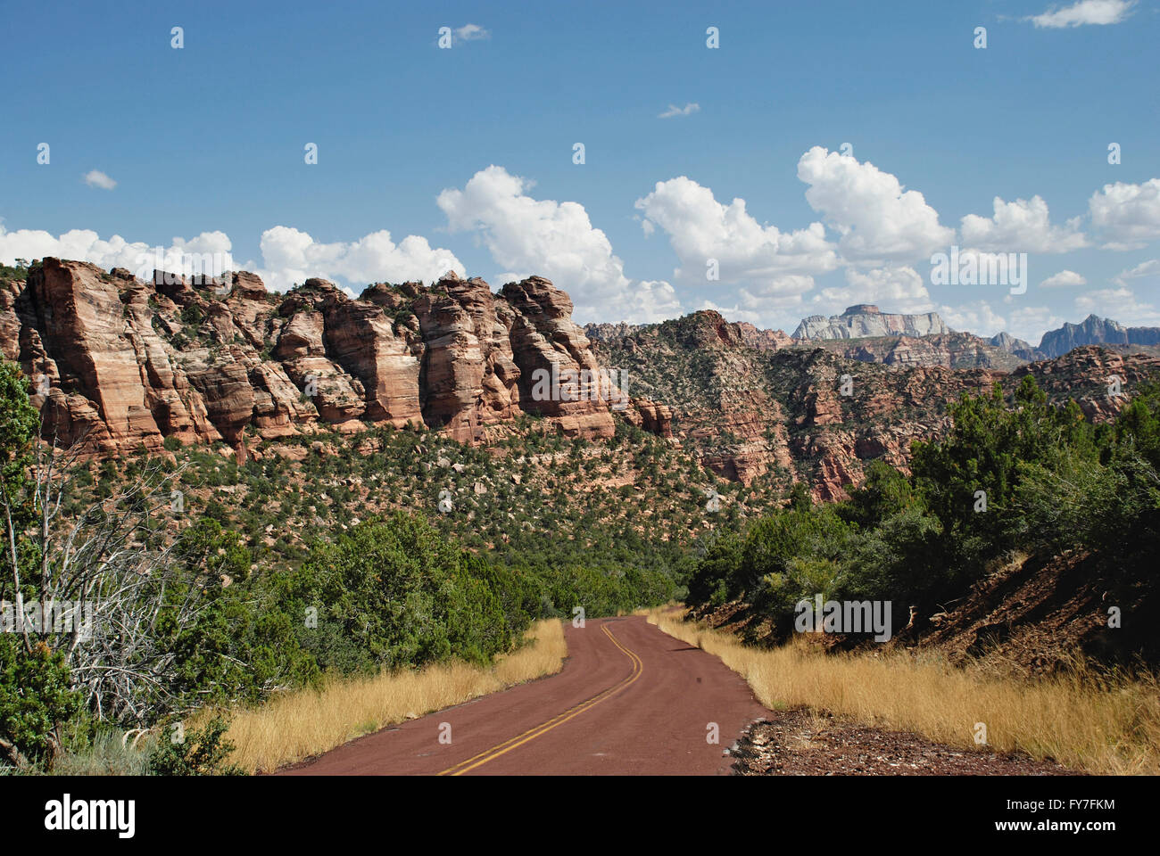 A road running through Zion National Park, Utah, United States Stock ...