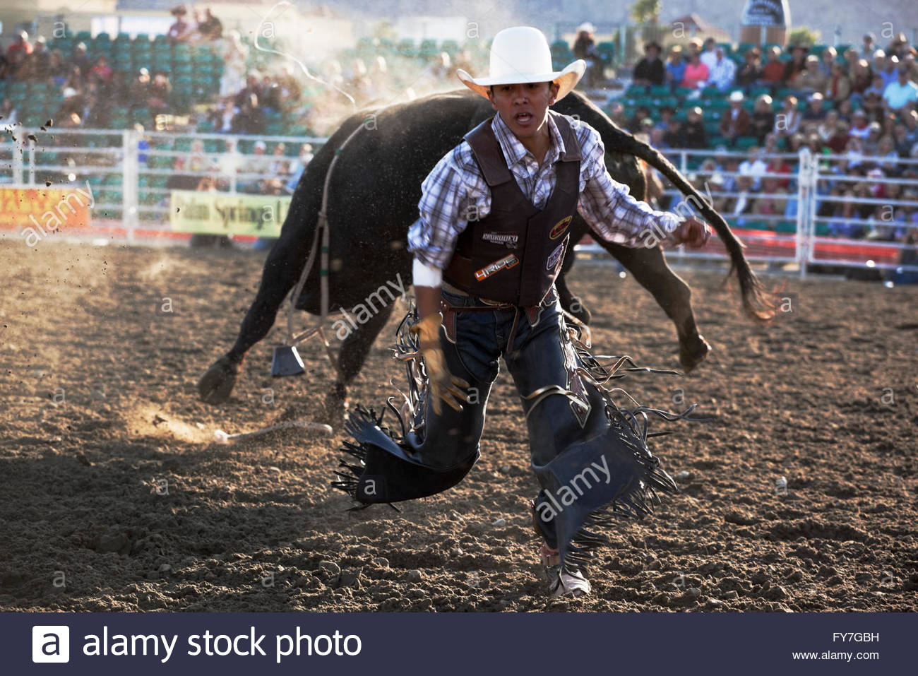 Cowboy Rider Stock Photos & Cowboy Rider Stock Images - Alamy