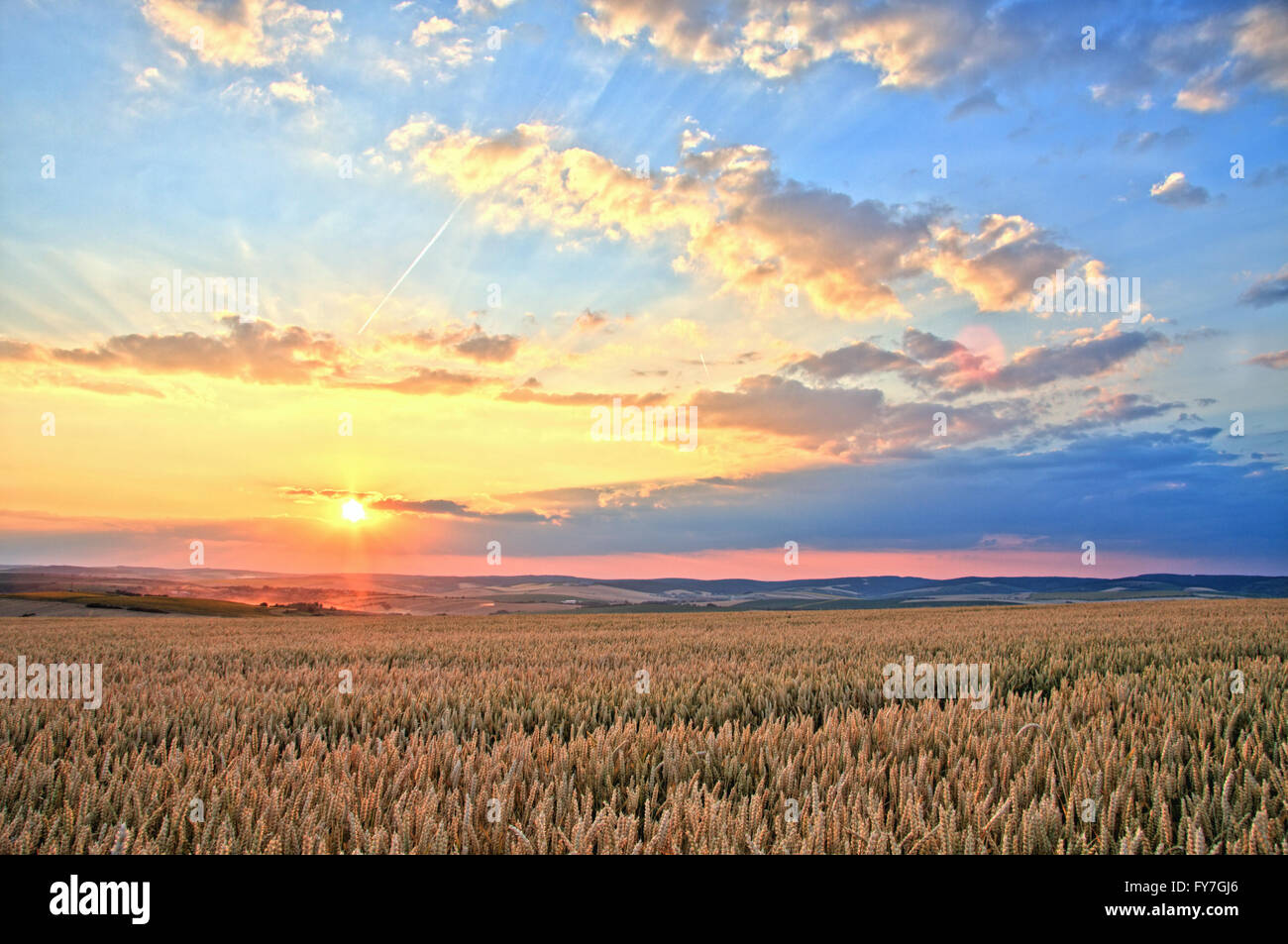 Sunset over wheat field Stock Photo - Alamy