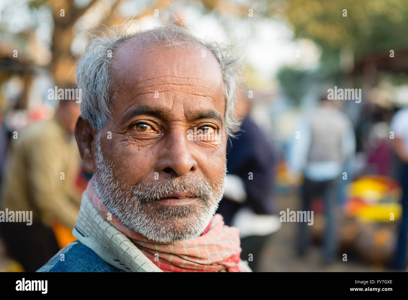 Wise old indian man hi-res stock photography and images - Alamy