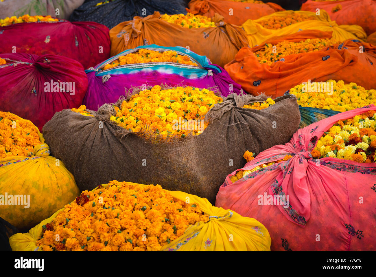 Brightly coloured flowers at Jaipur flower market Stock Photo - Alamy