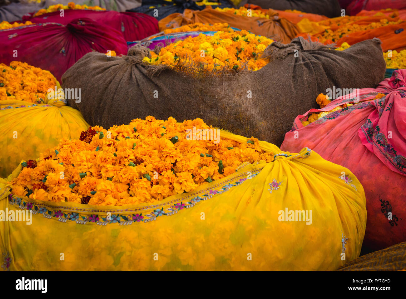 Brightly coloured flowers at Jaipur flower market Stock Photo - Alamy
