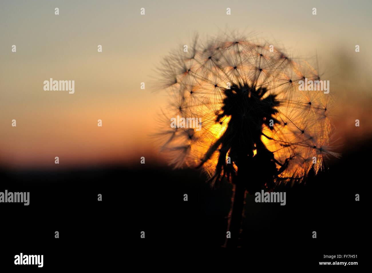 Silhouette passing hi-res stock photography and images - Alamy