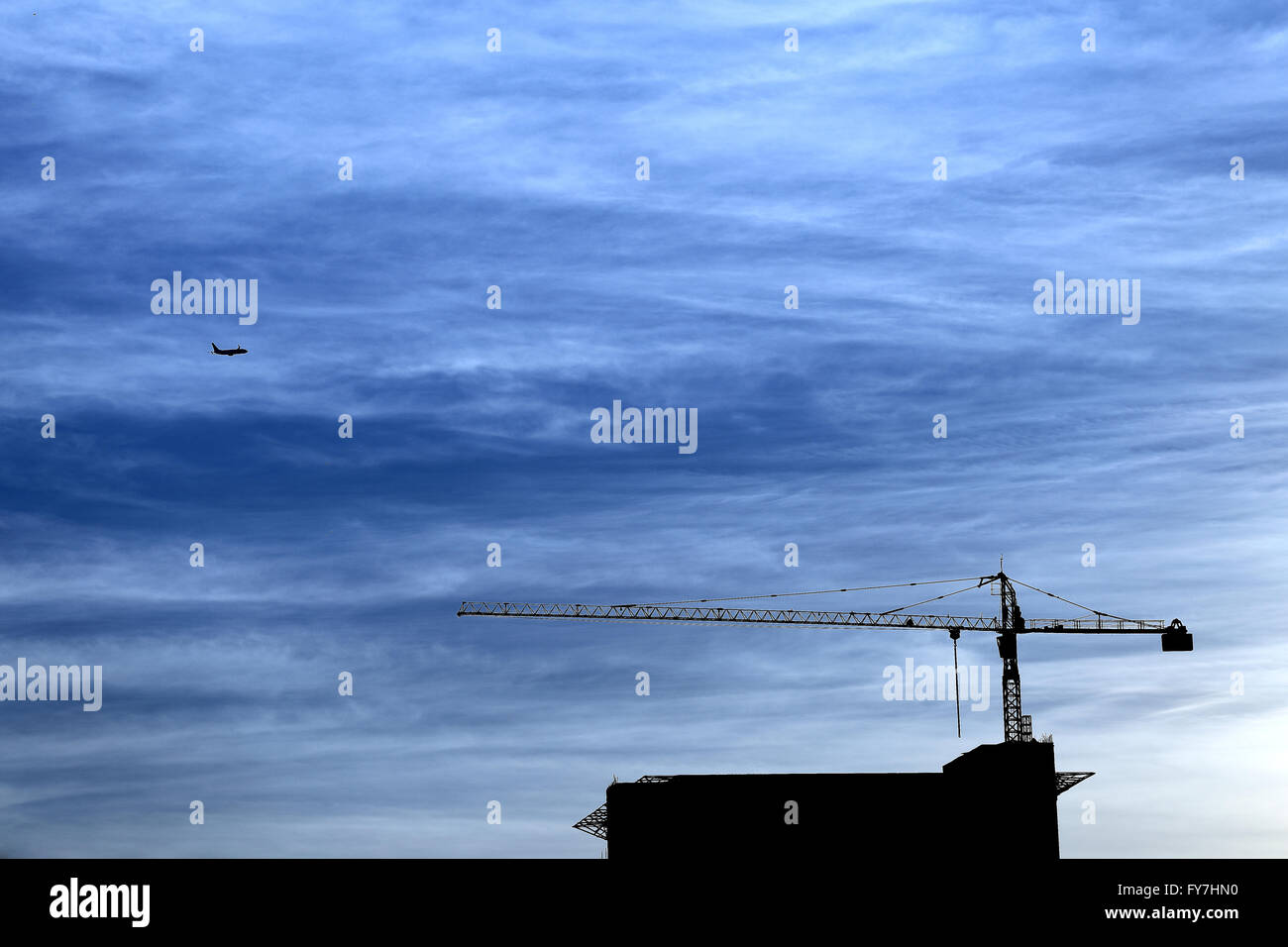 oxygen, ozone, outdoor, nature, light, meteorology, peace, pure ...