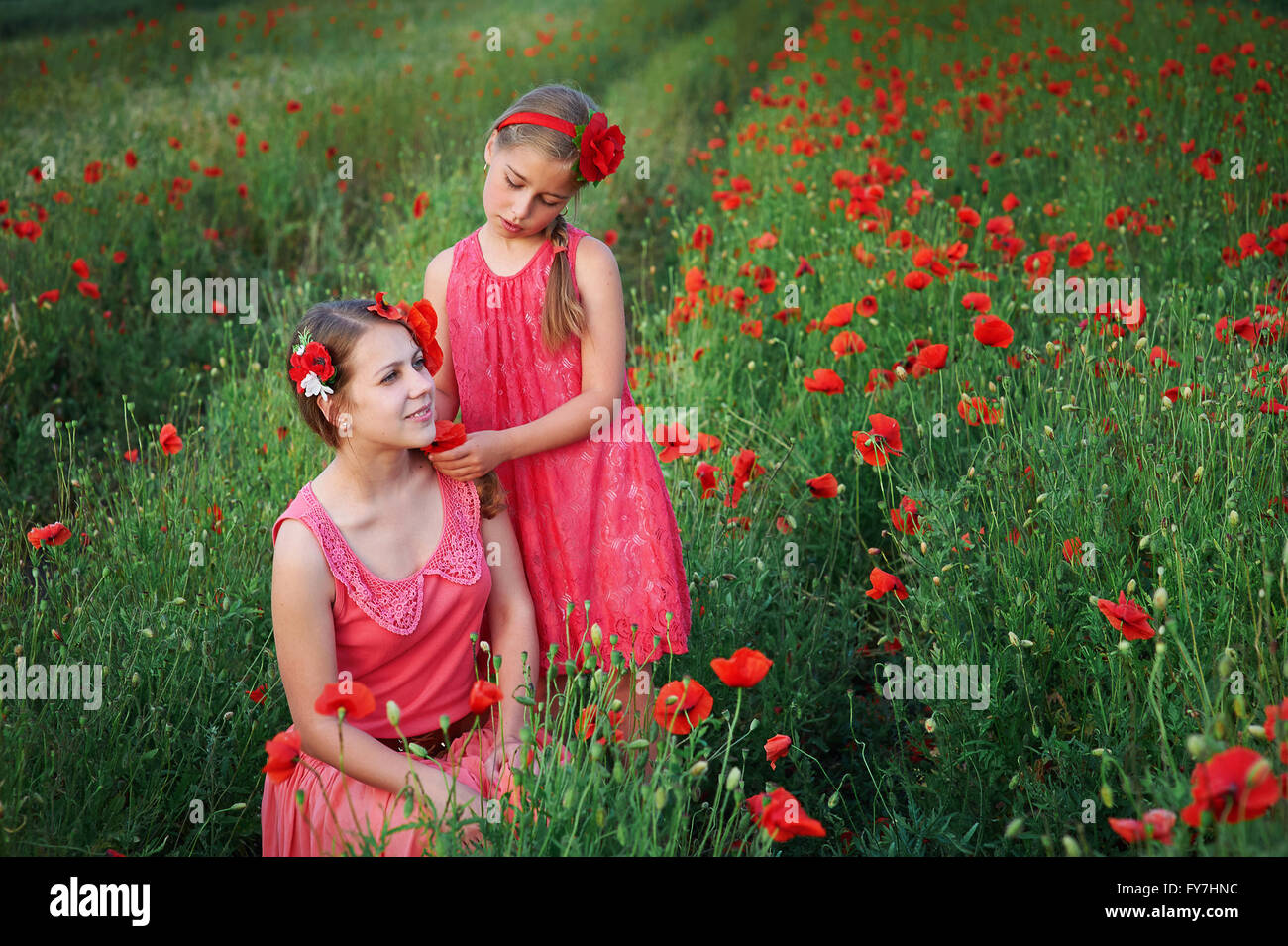 two beautiful young sisters walking in poppy field Stock Photo - Alamy