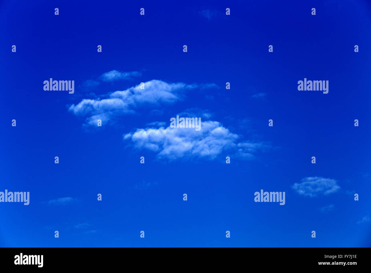 oxygen, ozone, outdoor, nature, light, meteorology, peace, pure ...