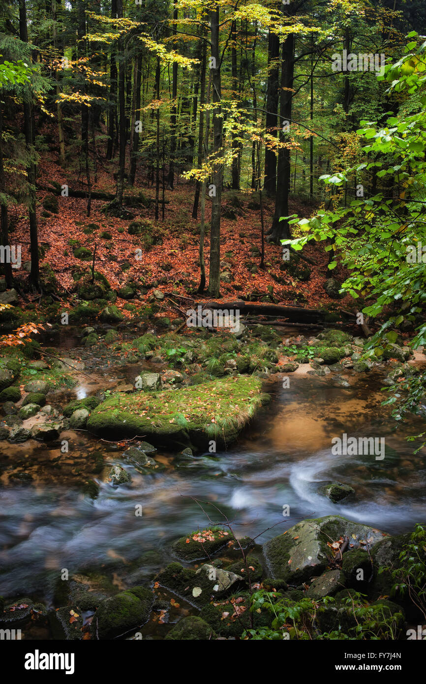Mountain forest scenery hi-res stock photography and images - Alamy