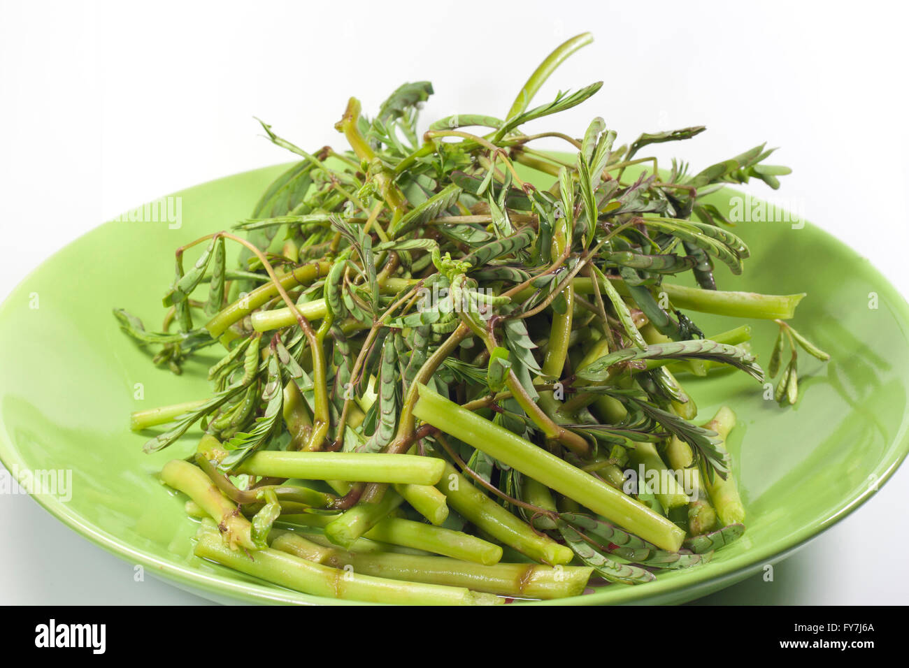 water mimosa is vegetable popular in thai food Stock Photo - Alamy