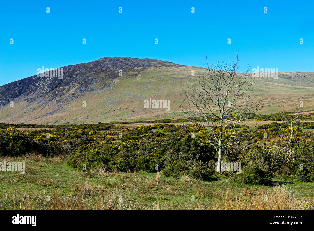 Common land lake district hi-res stock photography and images - Alamy