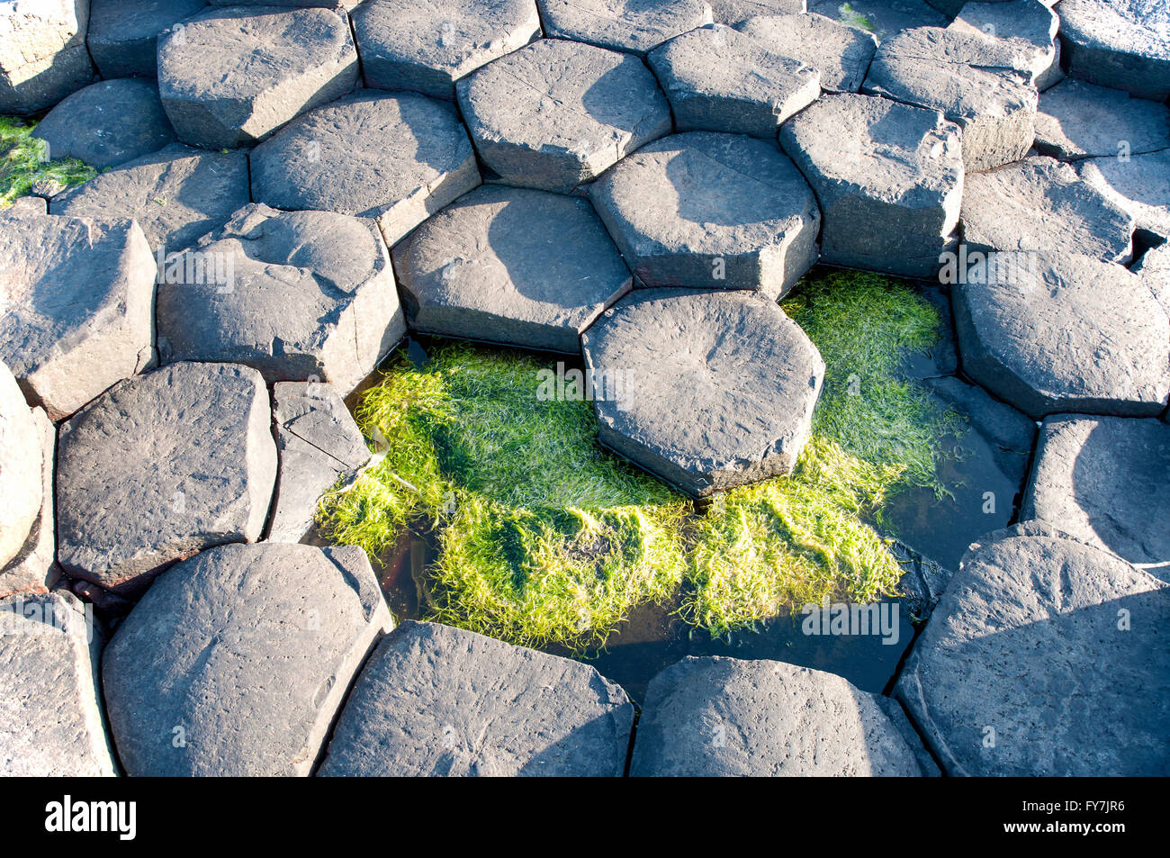 Giants Causeway. Unique geological hexagonal formations of volcanic ...