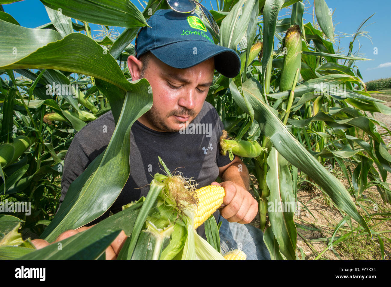 Farmer with corn hi-res stock photography and images - Alamy