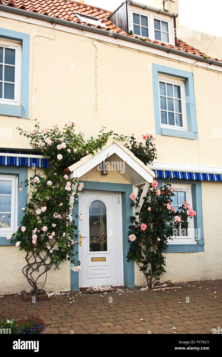 House entrance with roses hi-res stock photography and images - Alamy
