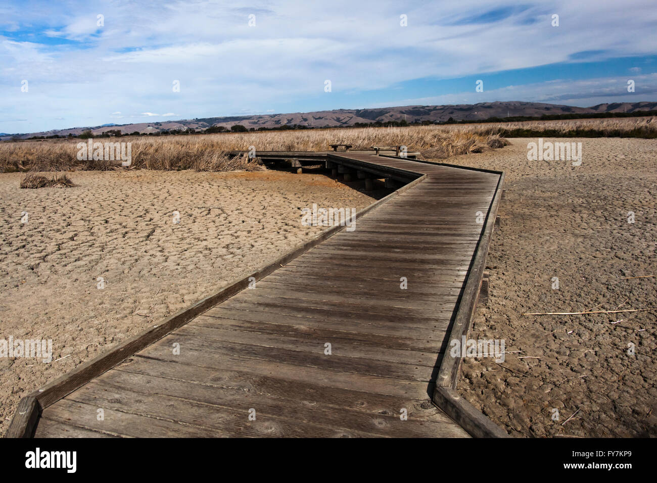 October 2014 - The wooden path access to the wetlands stands over sun ...