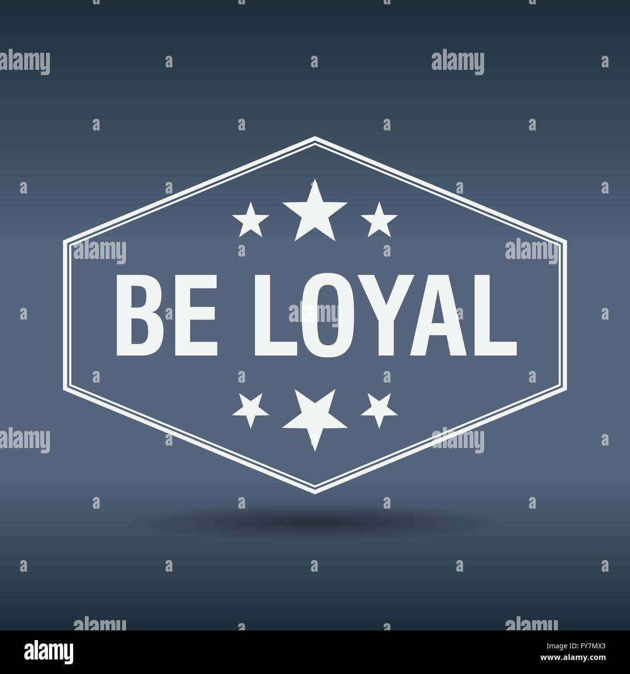 be loyal hexagonal white vintage retro style label Stock Vector Image ...