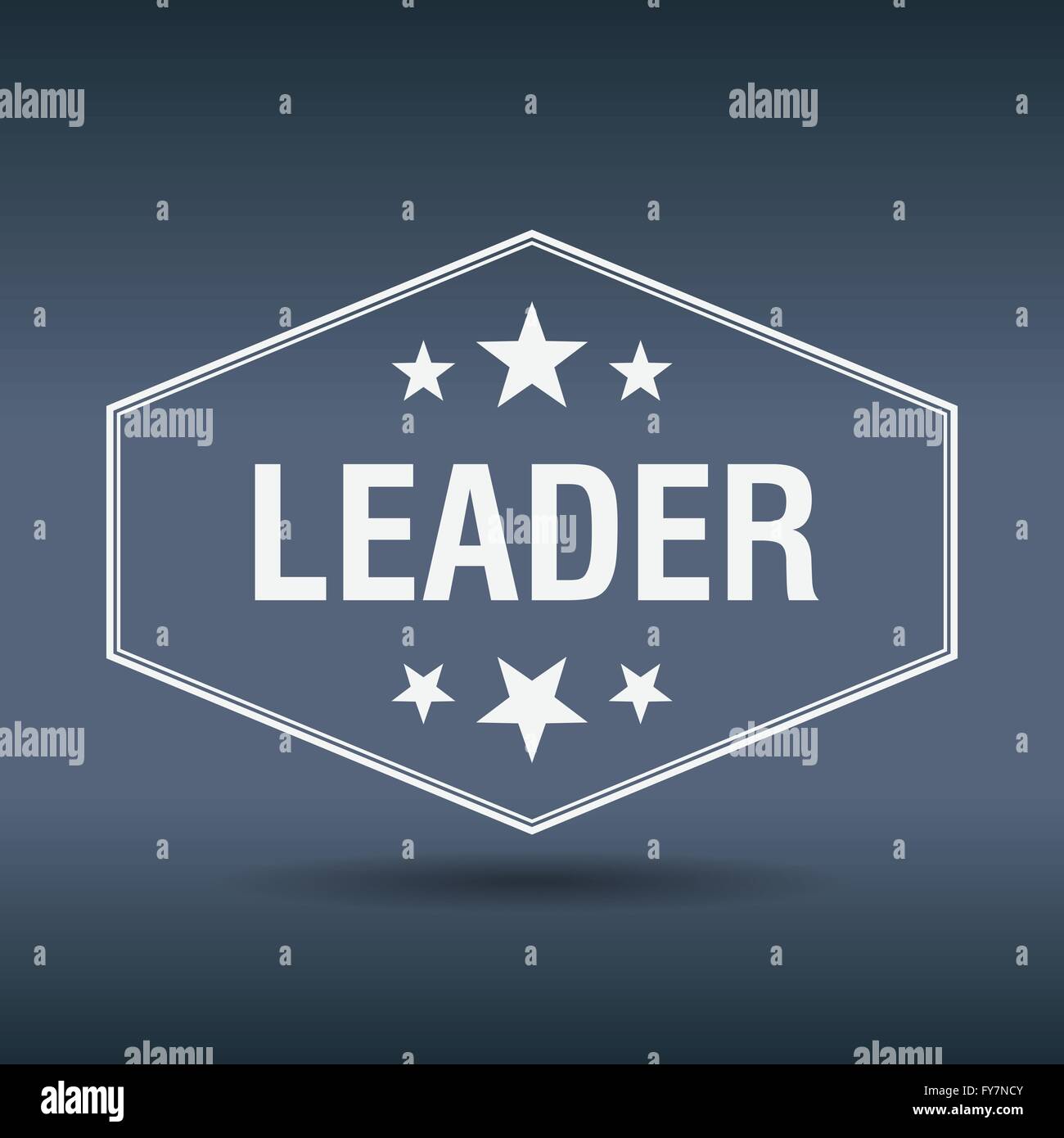 leader hexagonal white vintage retro style label Stock Vector Image & Art - Alamy
