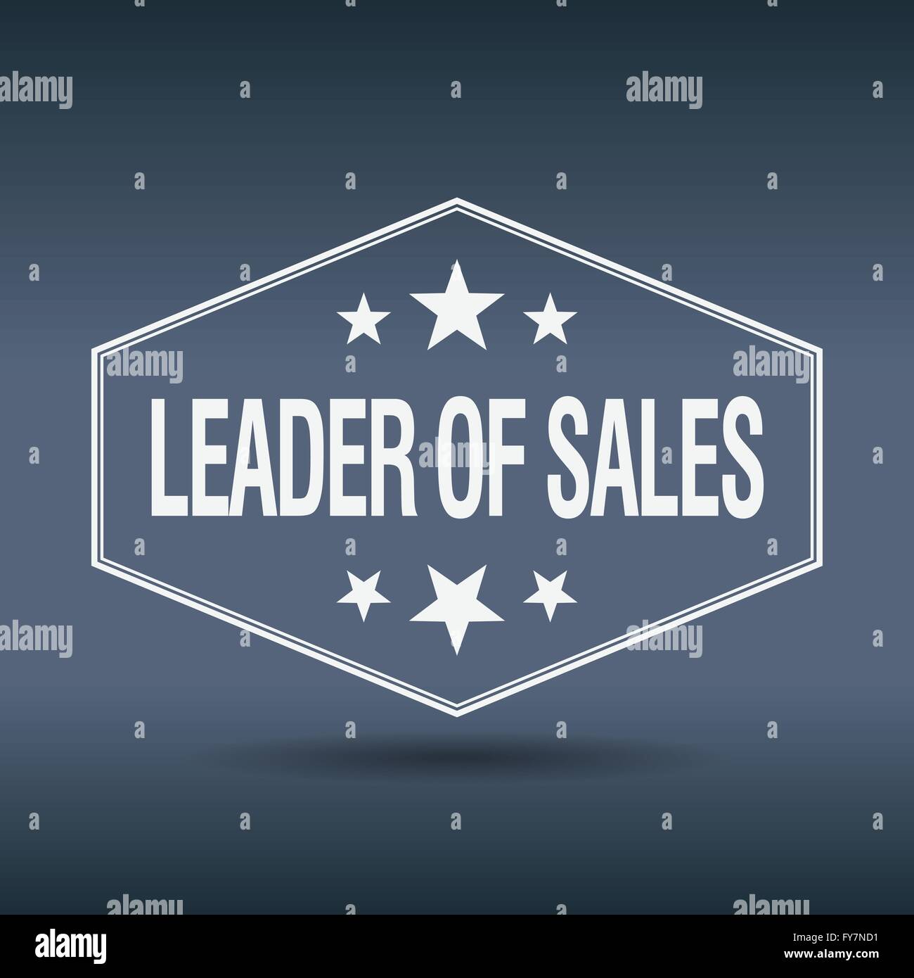 leader of sales hexagonal white vintage retro style label Stock Vector ...
