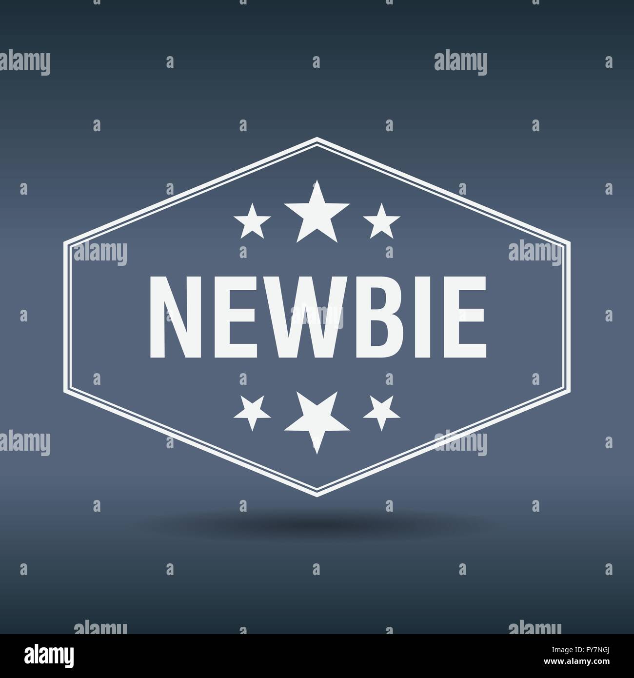 newbie hexagonal white vintage retro style label Stock Vector Image ...