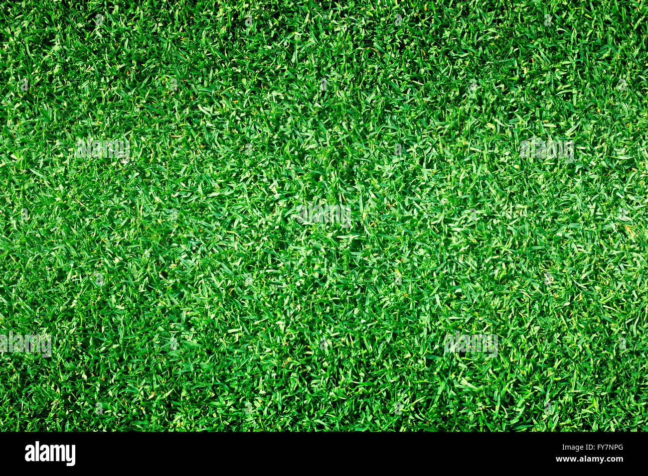 Golf Courses green lawn pattern textured background Stock Photo - Alamy