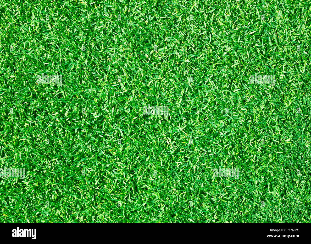 Golf Courses green lawn pattern textured background Stock Photo - Alamy