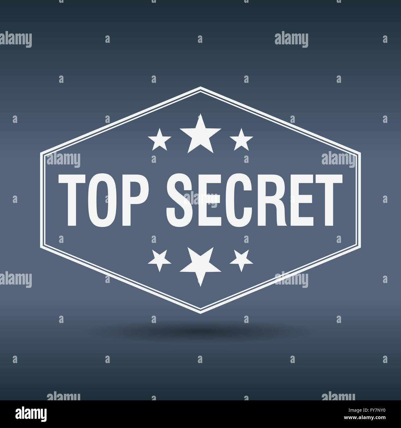 top secret hexagonal white vintage retro style label Stock Vector Image ...