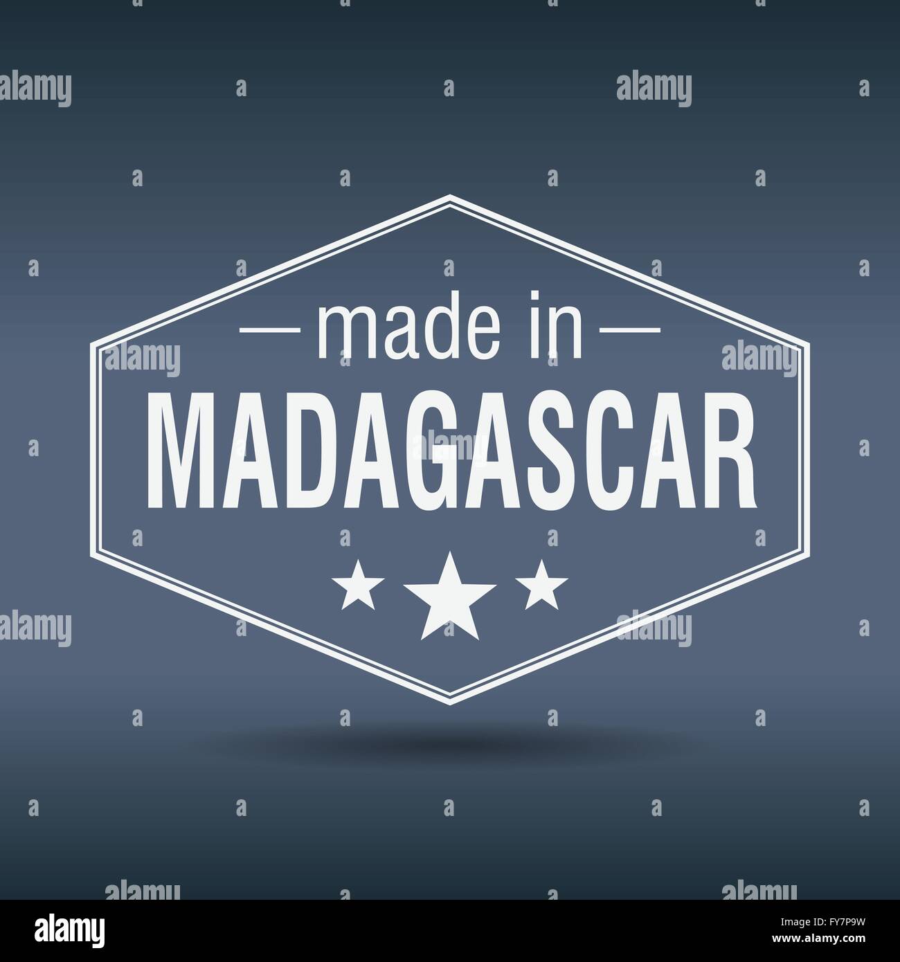 made in Madagascar hexagonal white vintage label Stock Vector Image ...
