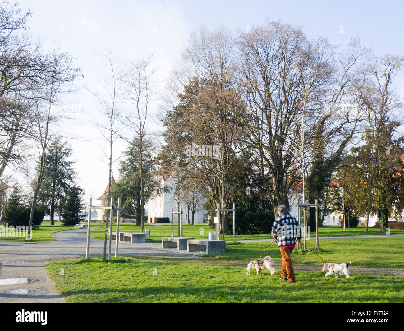 Old man walking dog hi-res stock photography and images - Alamy