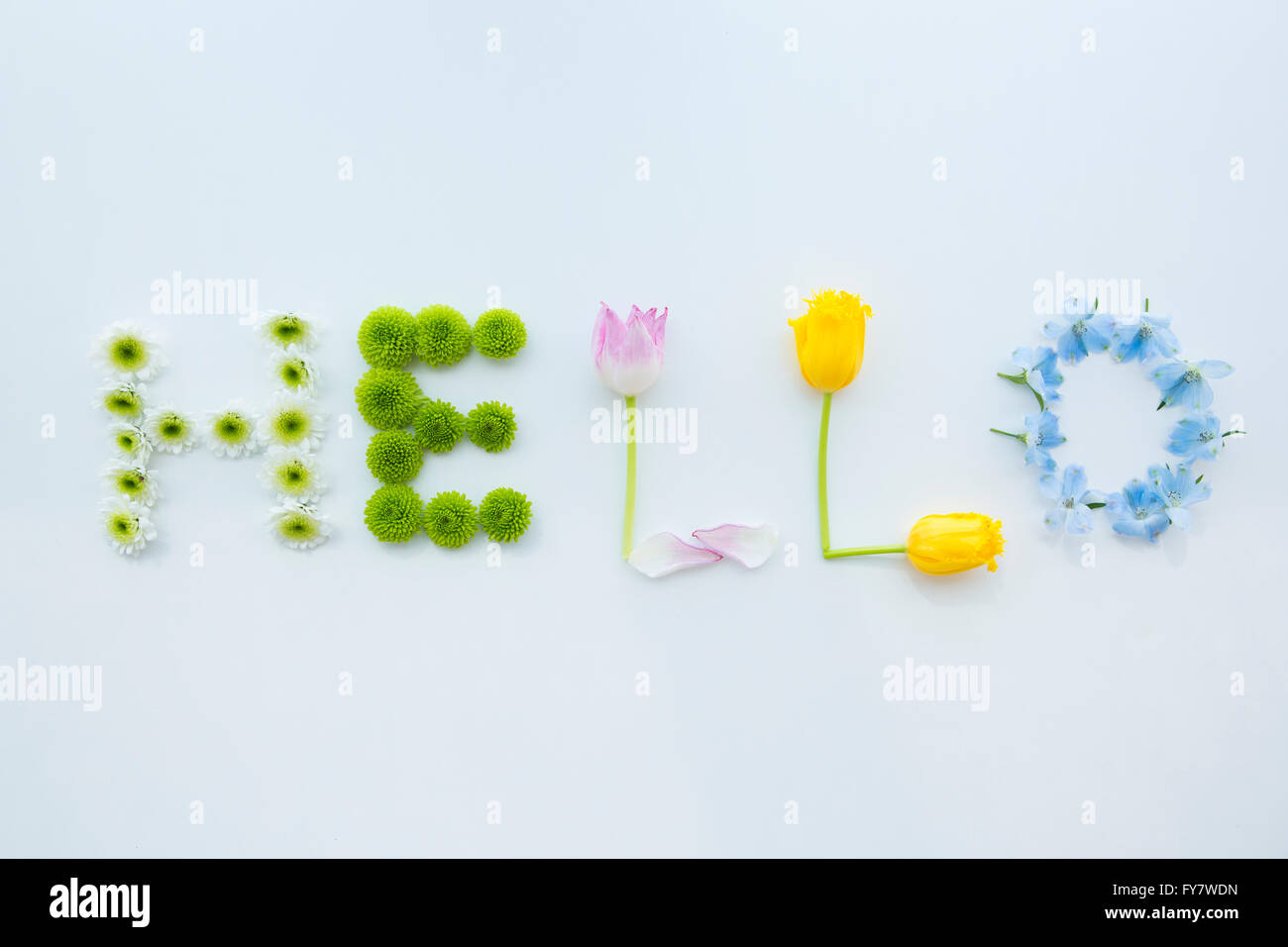 The Messenger of spring048 Stock Photo - Alamy