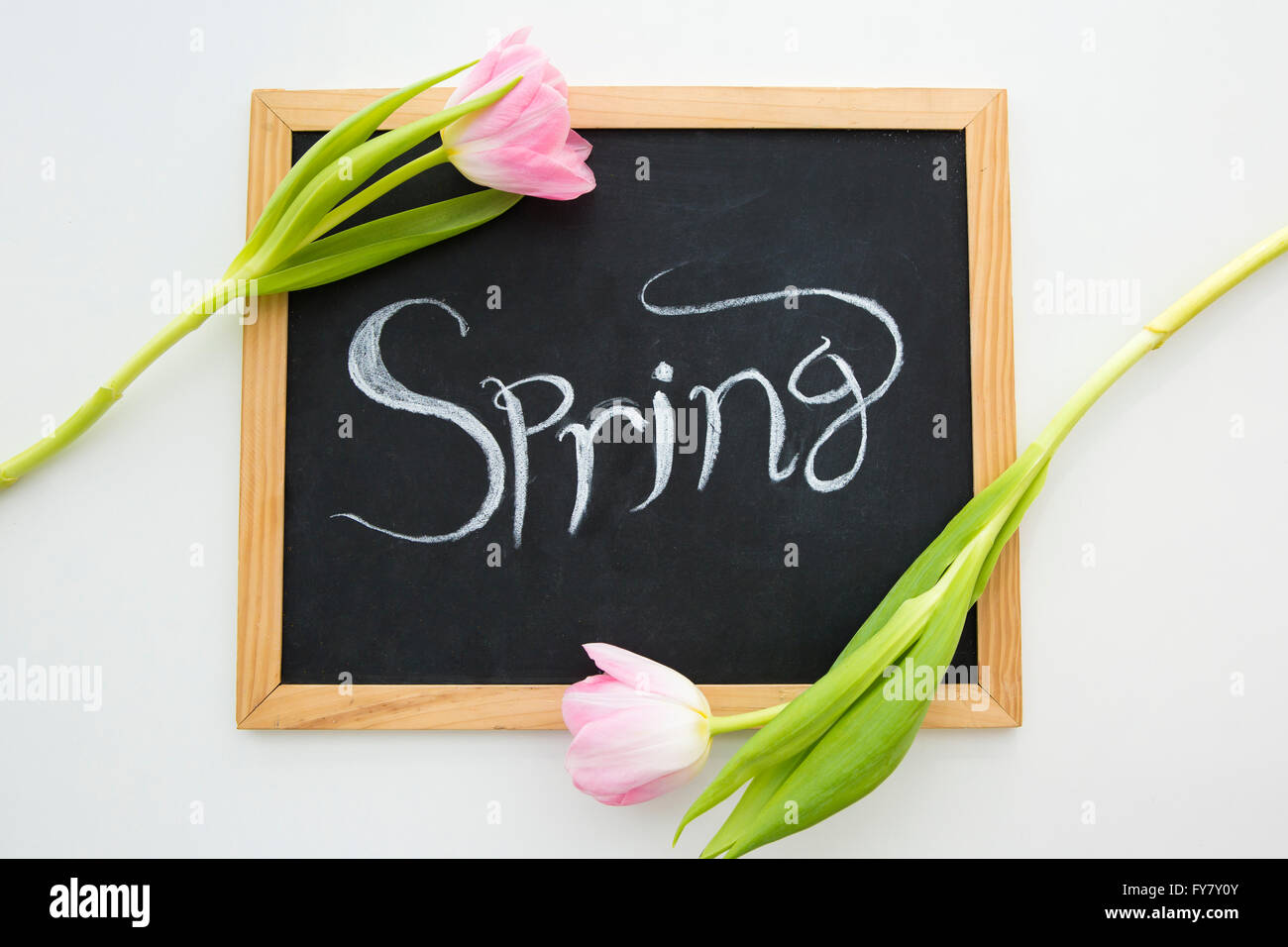 The Messenger of spring116 Stock Photo - Alamy