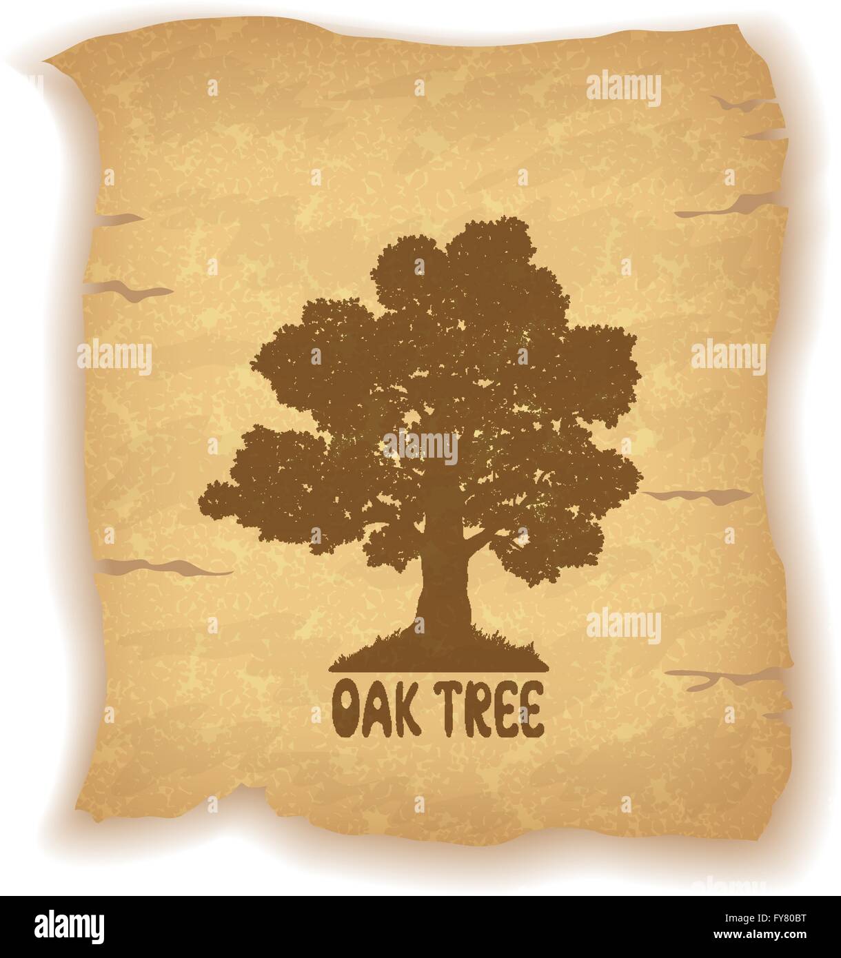 Oak Tree on Old Paper Stock Vector Image & Art - Alamy