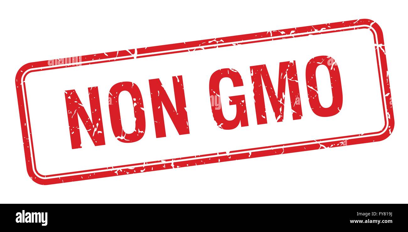 non gmo red square grungy vintage isolated stamp Stock Vector Image ...