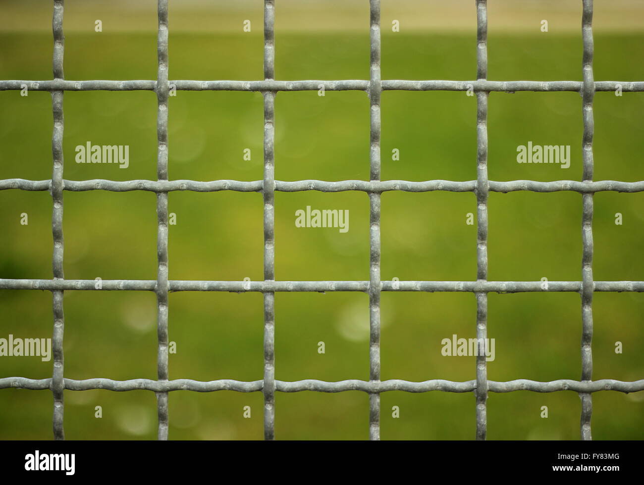 Looking through the gaps of a metal fence Stock Photo - Alamy