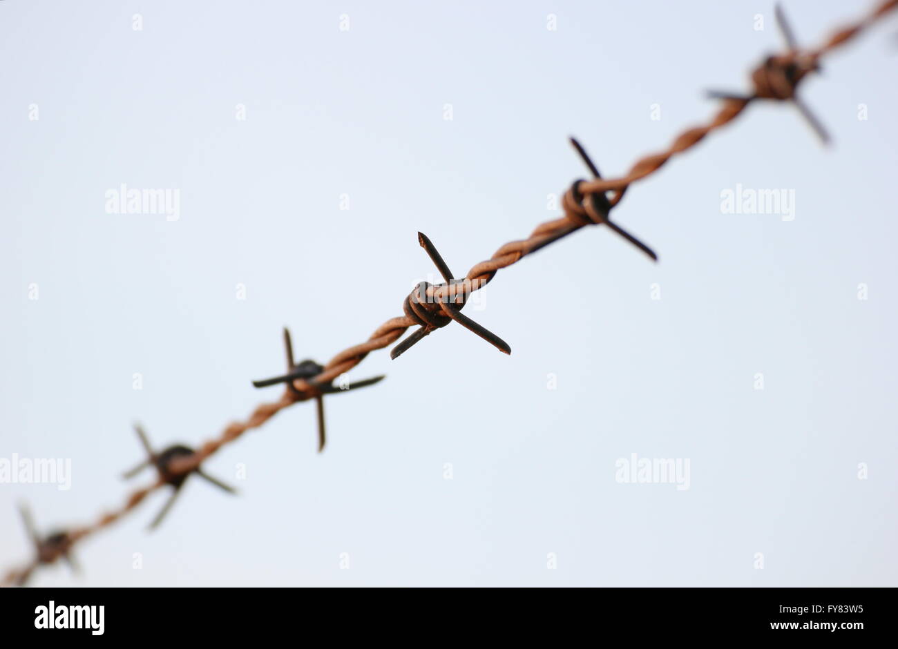 Barbed wire in evening sun, reaching from corner to corner Stock Photo ...
