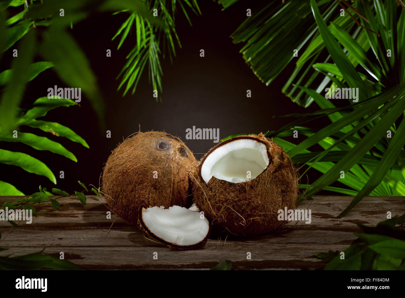 Close up view of nice fresh coconut on green leaf background Stock ...