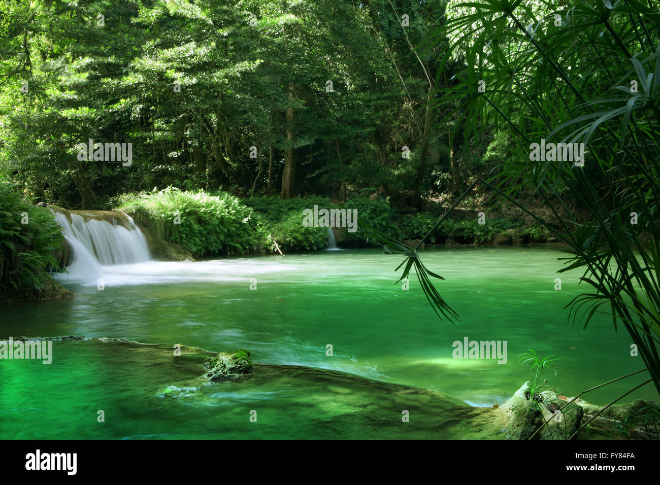 panorama view of nice waterfall and pond in green tropic environment ...