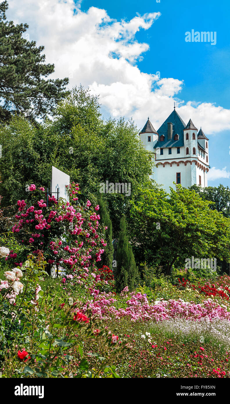 Eltville am rhein hi-res stock photography and images - Alamy