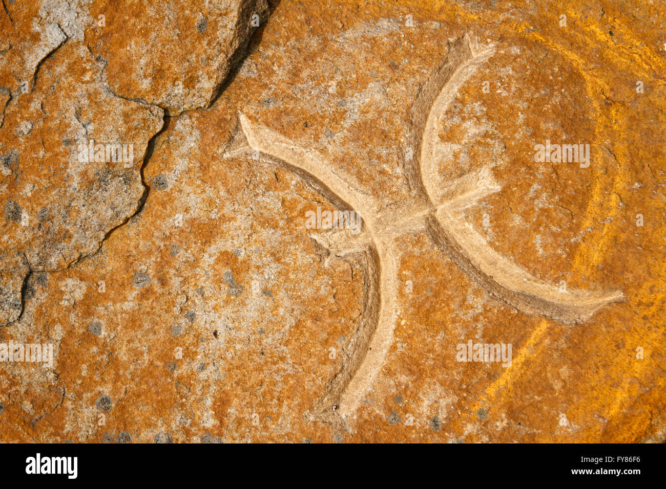 Pisces zodiac hi-res stock photography and images - Alamy