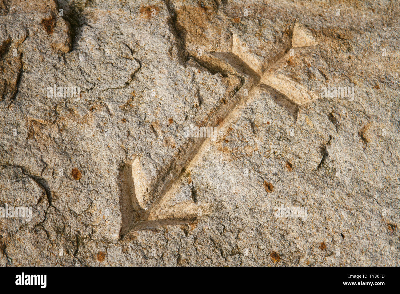 Rock zodiac sign 60 photos - Astrologytoyou.com