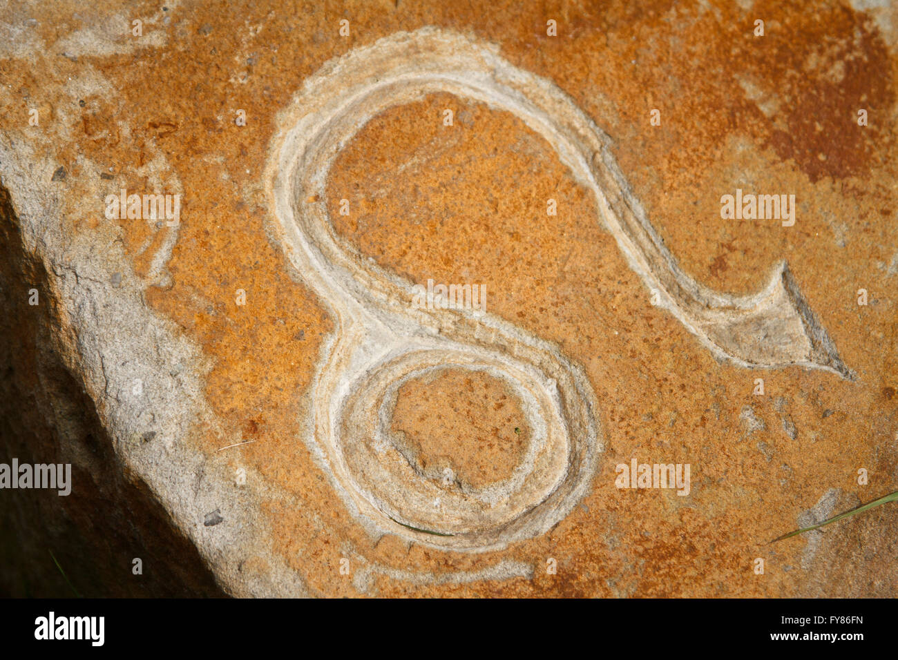 Zodiac sign of leo engraved on sandstone rock Stock Photo - Alamy