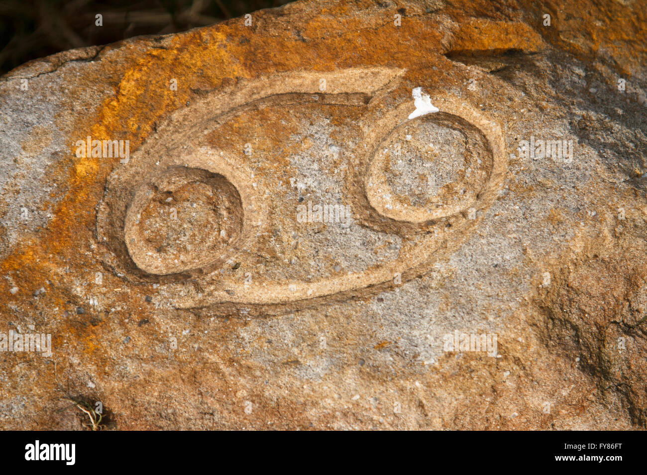 Cancer sign of the zodiac hi-res stock photography and images - Alamy