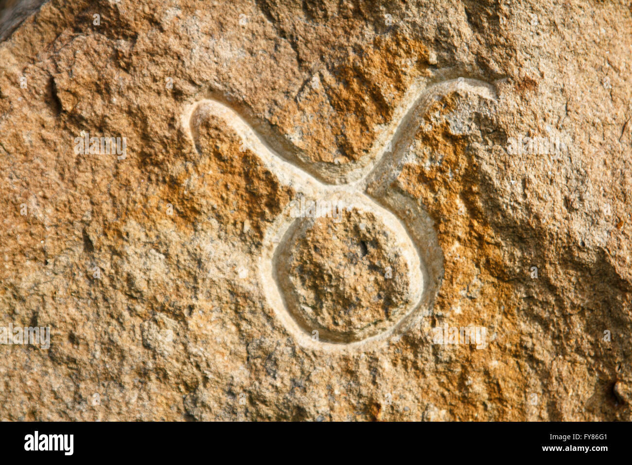 Zodiac sign of taurus engraved on sandstone rock Stock Photo - Alamy