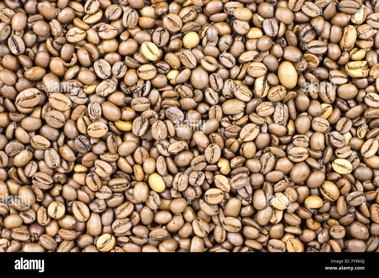 Spread out coffee beans shot from above Stock Photo - Alamy
