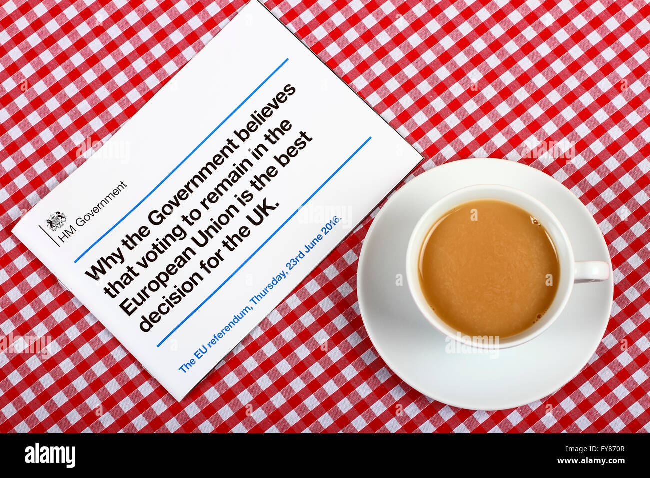 EU Referendum leaflet Stock Photo - Alamy