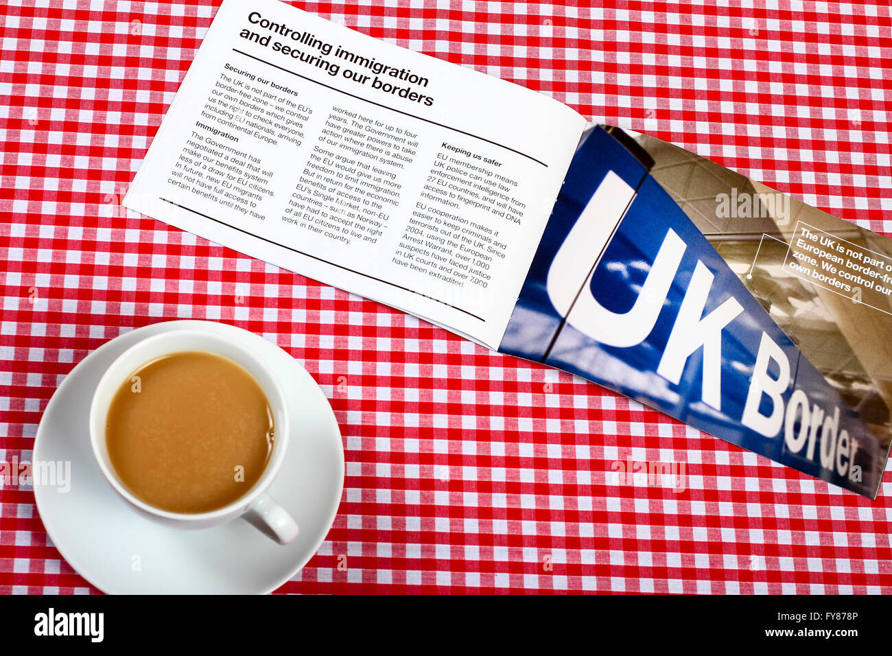 EU Referendum leaflet Stock Photo - Alamy