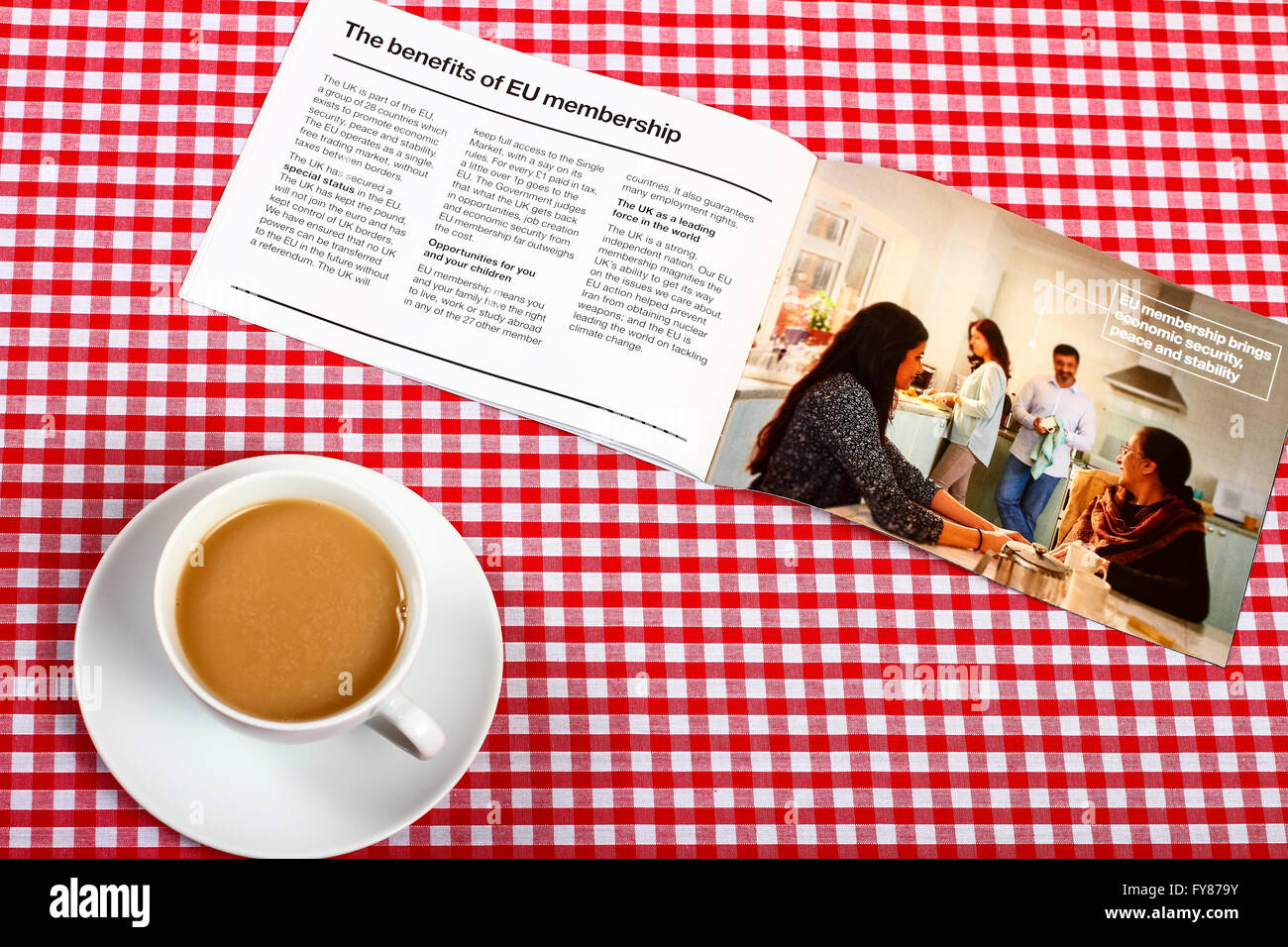 EU Referendum leaflet Stock Photo - Alamy