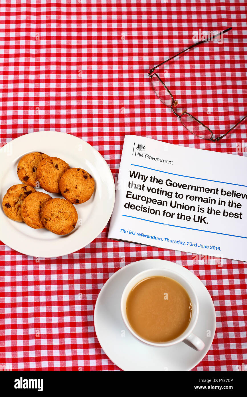 EU Referendum leaflet Stock Photo - Alamy