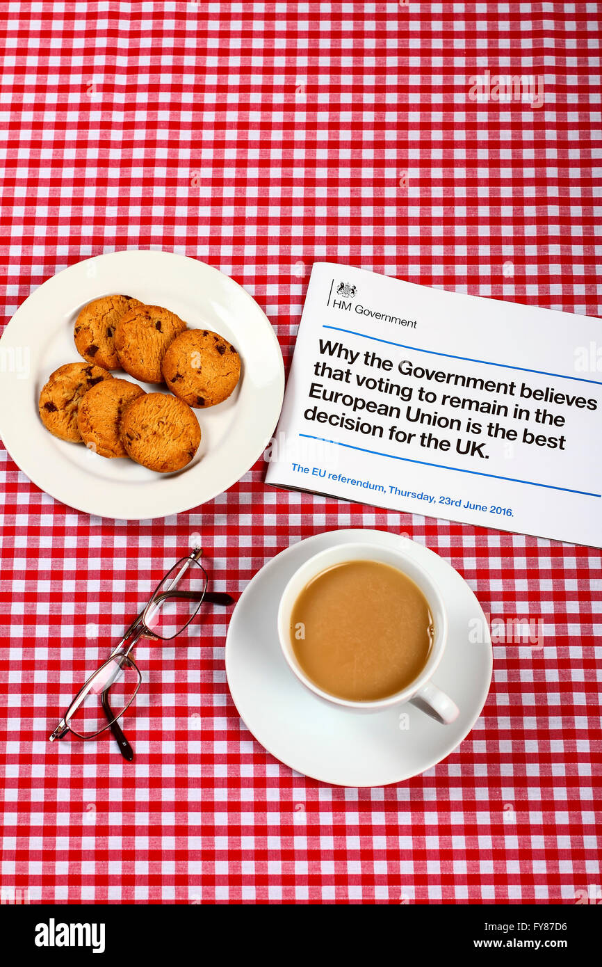 EU Referendum leaflet Stock Photo - Alamy