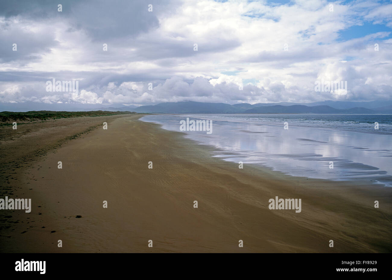 Inch Beach, Dingle Peninsula, Ring of Kerry, County Kerry, Ireland ...