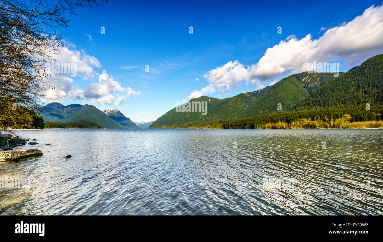 Alouette Lake in Golden Ears Provincial Park in the Coastal Mountain Range in British Columbia ...