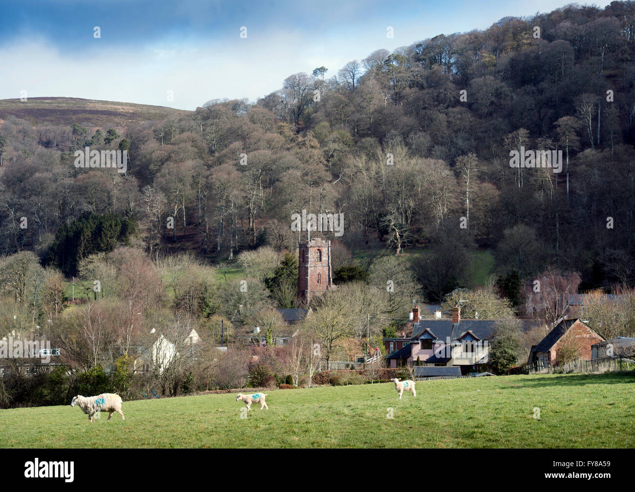 Crowcombe village hi-res stock photography and images - Alamy