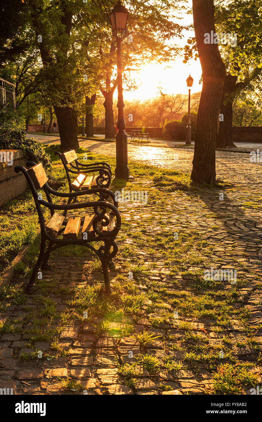 A park scene with benches hi-res stock photography and images - Alamy